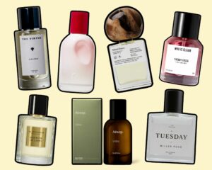 New Zealand's Home of Fashion | FashioNZ